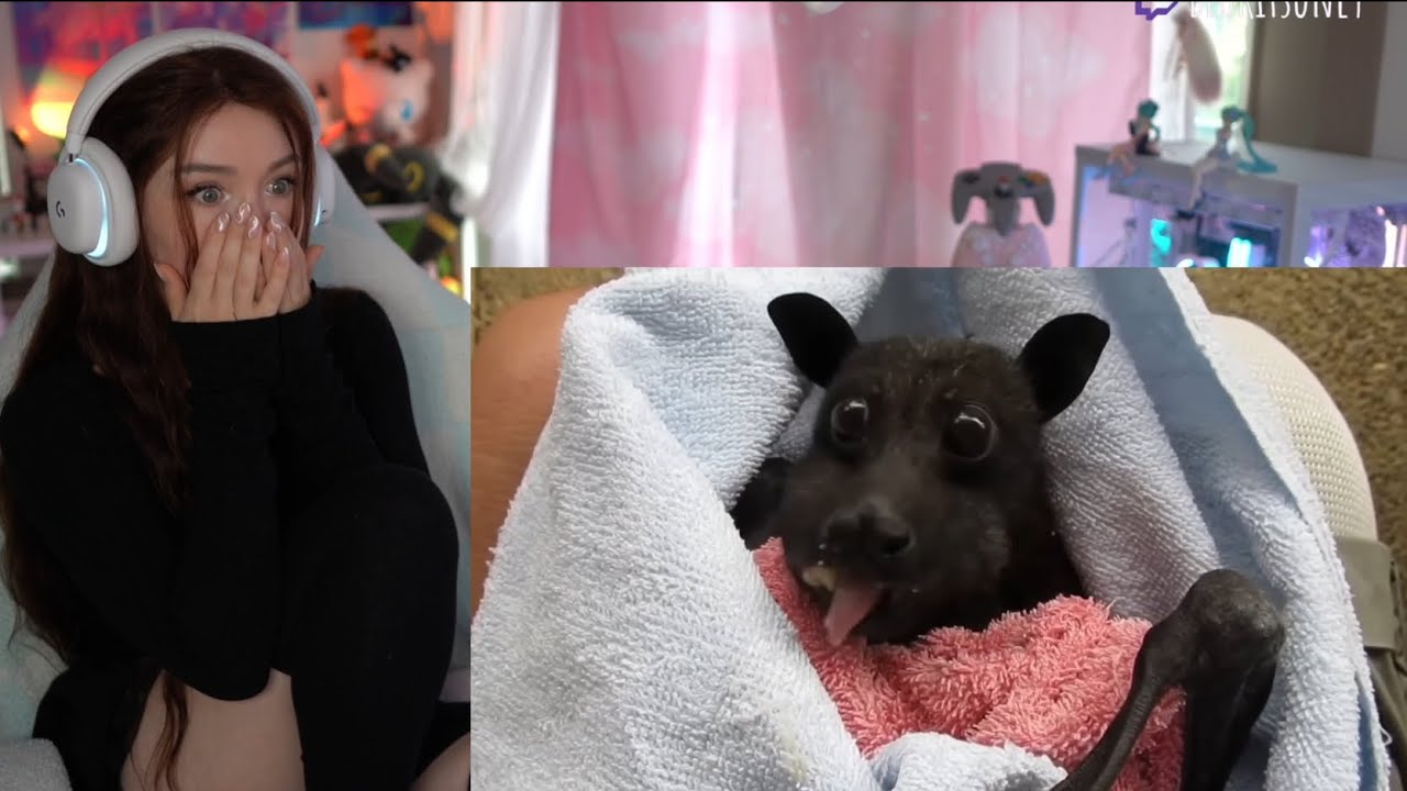 Funniest Internet Clips REACTION!!! - YouTube