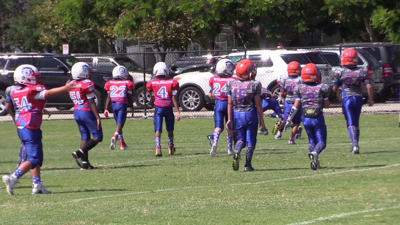 Hardee Wildcats vs Manatee Wildcats 9/15/2018 Mighty Mites - YouTube