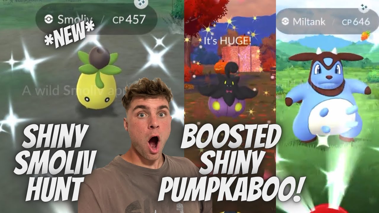 *NEW* Shiny Smoliv Hunt! Shiny Boosted Pumpkaboo and More in The New ...