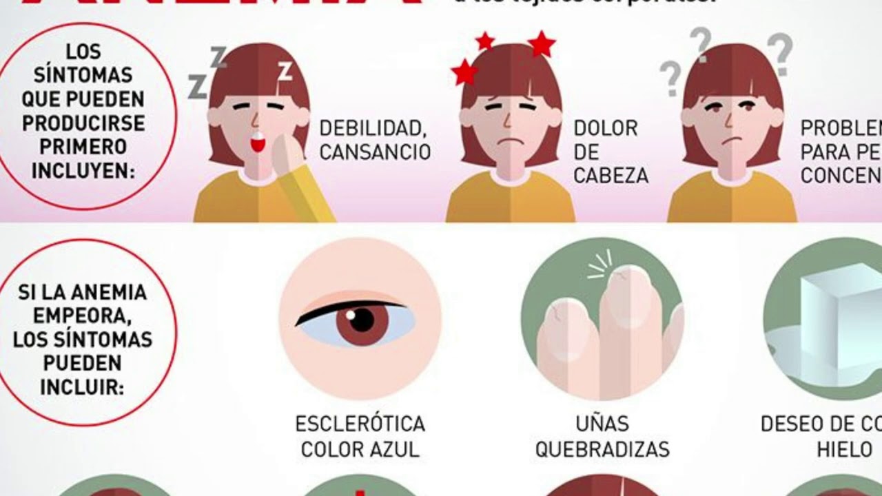 Generalidades de la anemia hemolítica 4A - YouTube