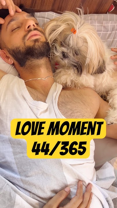 Day44/365 meri love moment ️ #365dayschallenge #arpitandpallavi #viral - YouTube