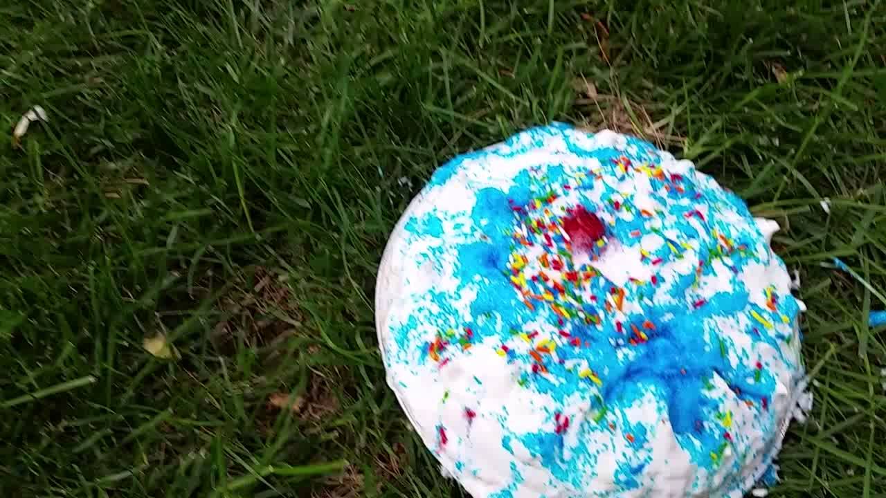 HD Pie in the Face Challenge! - YouTube