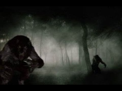 Conversation Continues With Robin Haynes McCray! Part 2 Fascinating ...