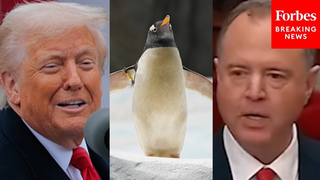 The Penguin Tariffs: A Case for Trump - YouTube