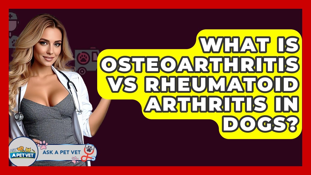 What Is Osteoarthritis Vs Rheumatoid Arthritis In Dogs? - Ask A Pet Vet ...
