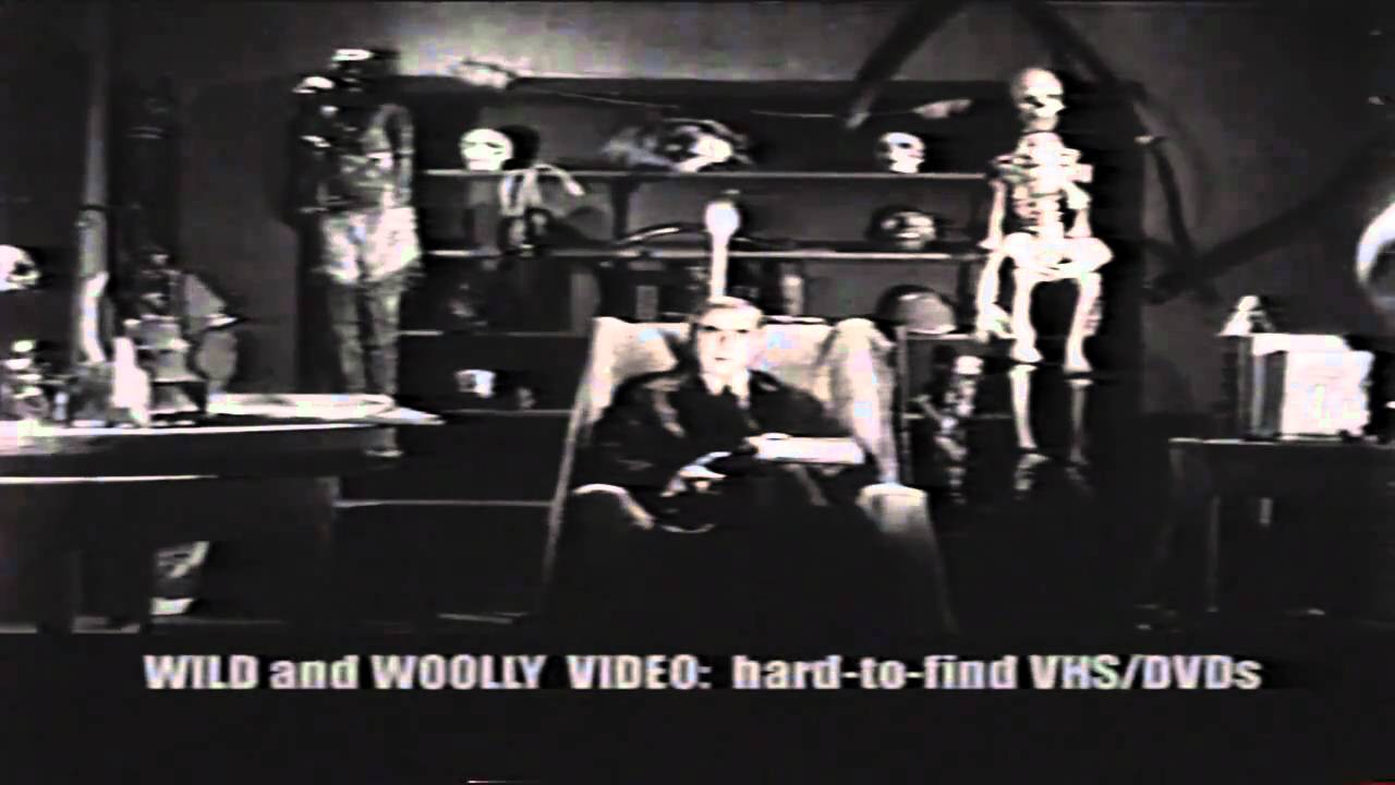 Wild and Woolly Video Commercial 2 - YouTube