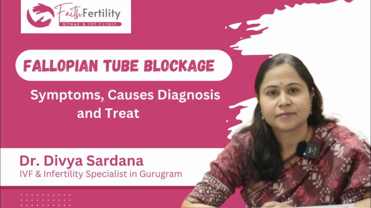 Fallopian Tube Blockage: Symptoms, Causes, Diagnosis and Treatment | Dr. Divya Sardana - YouTube