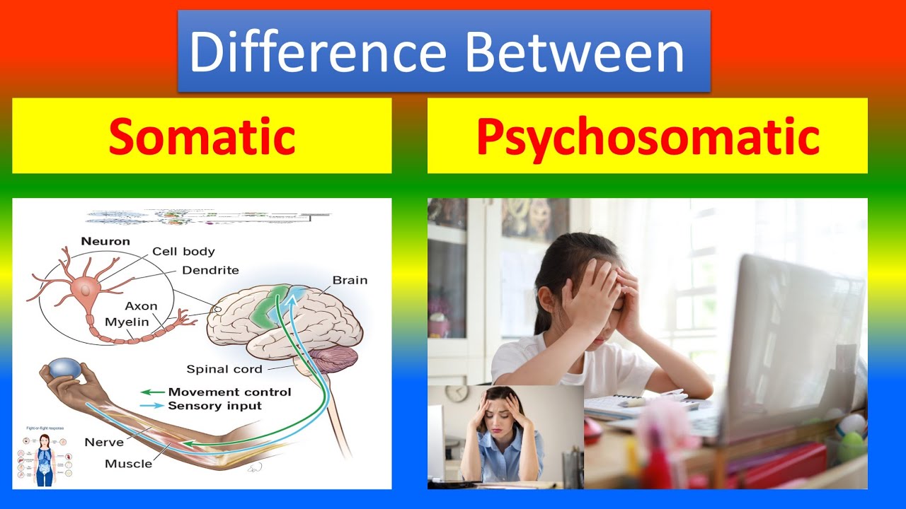 Difference Between Somatic and Psychosomatic - YouTube