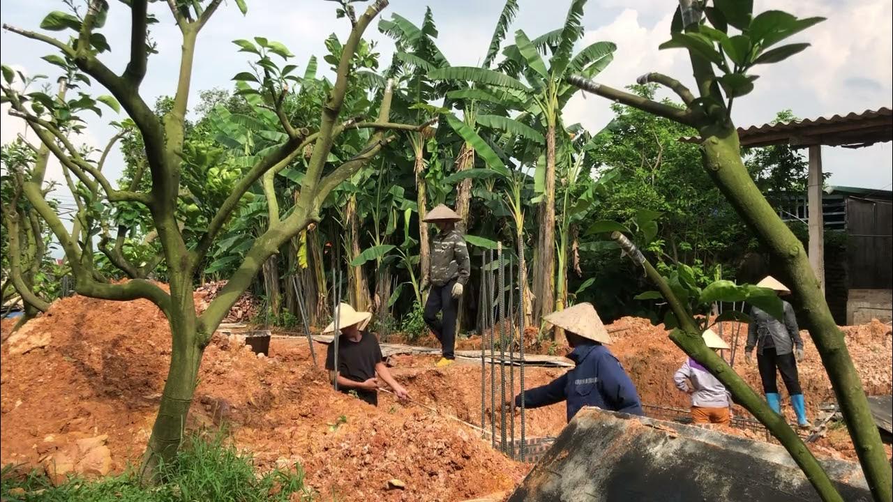 How to Create a Custom Home Library - YouTube