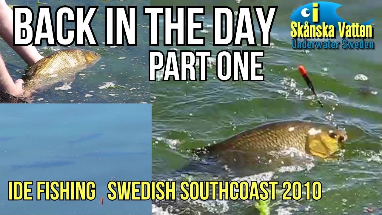 Back in the day, Part One / Ide fishing Swedish Southcoast 2010 - YouTube