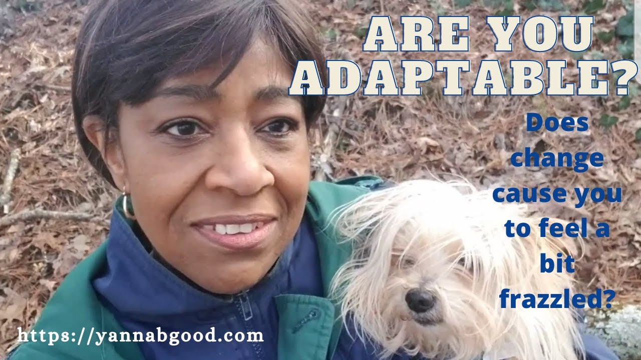 Are You Adaptable? - YouTube