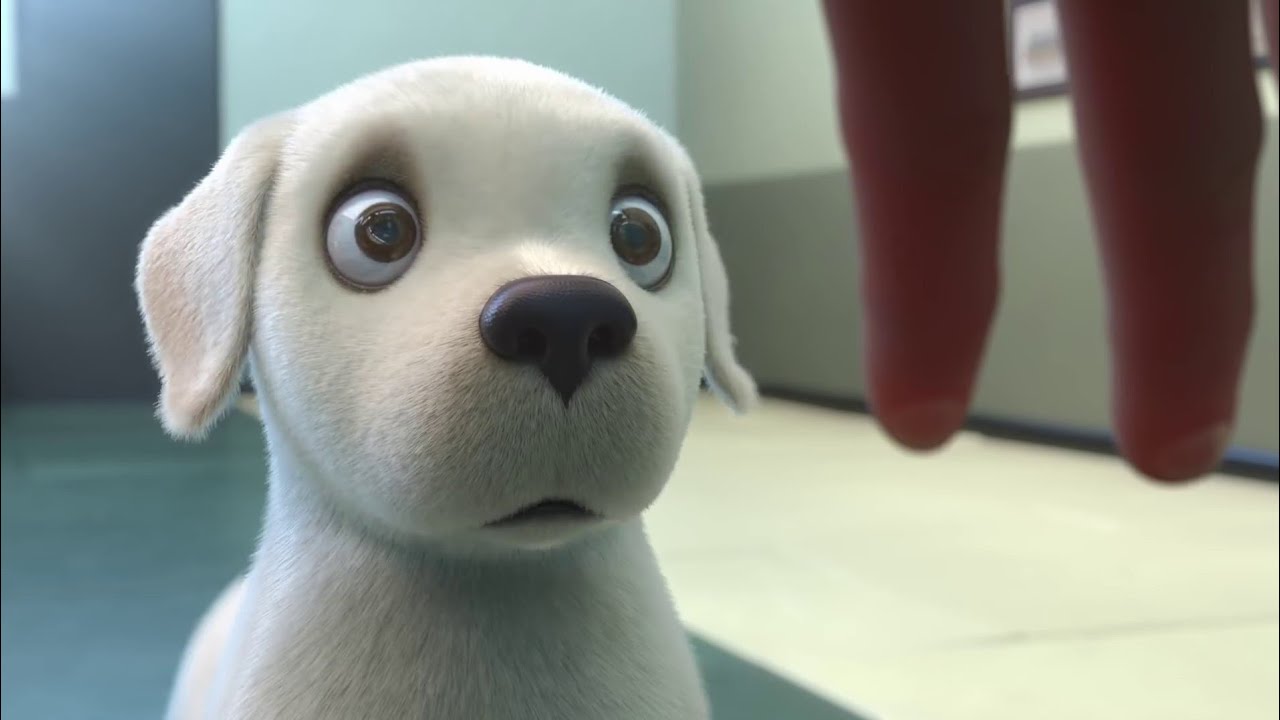 Pip Animation cartoon Short film Tamil Review cute puppy Dog Love - YouTube