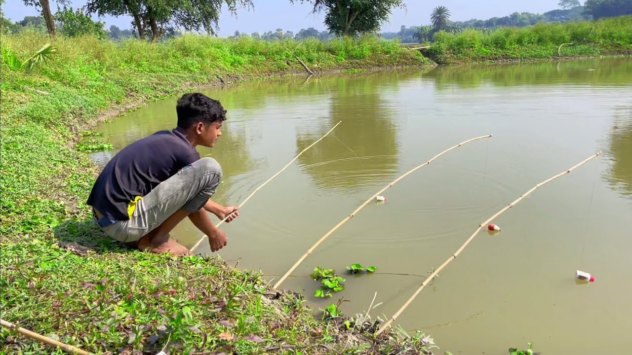 Best Fishing Video | Traditional Catching Fish By Hook in Pond - YouTube