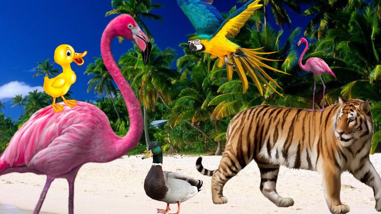 sounds of wildlife animals : Horse, Cow, snake, Giraffe, goat, cat ...