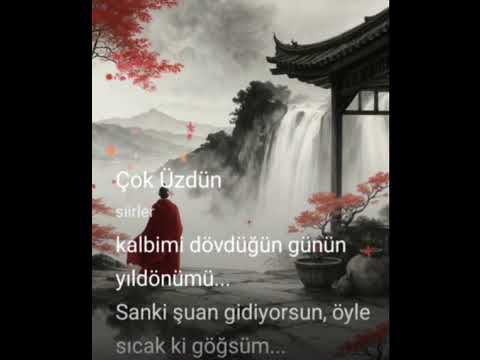 ÇOK ÜZDÜN (ŞİİR)