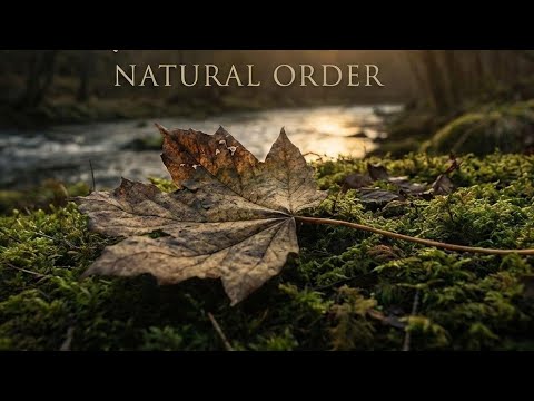Natural order (official audio) - YouTube