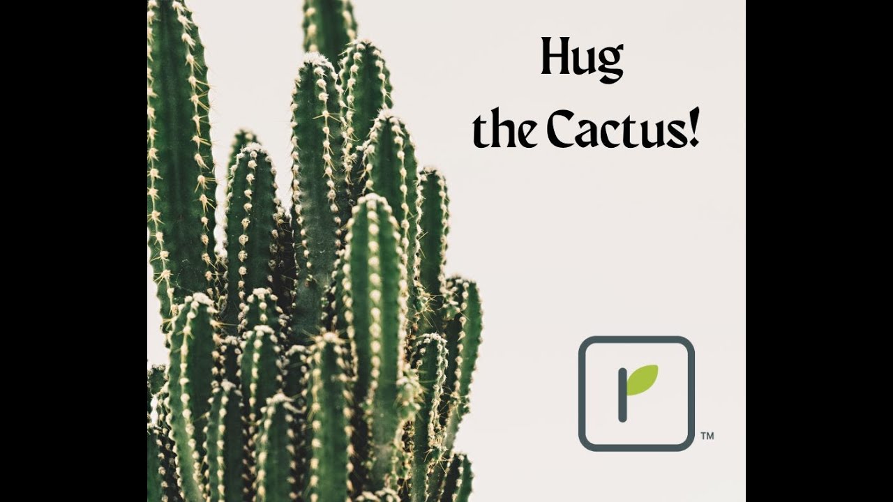 Hug the Cactus | Teaching | February 6th, 2023 - YouTube