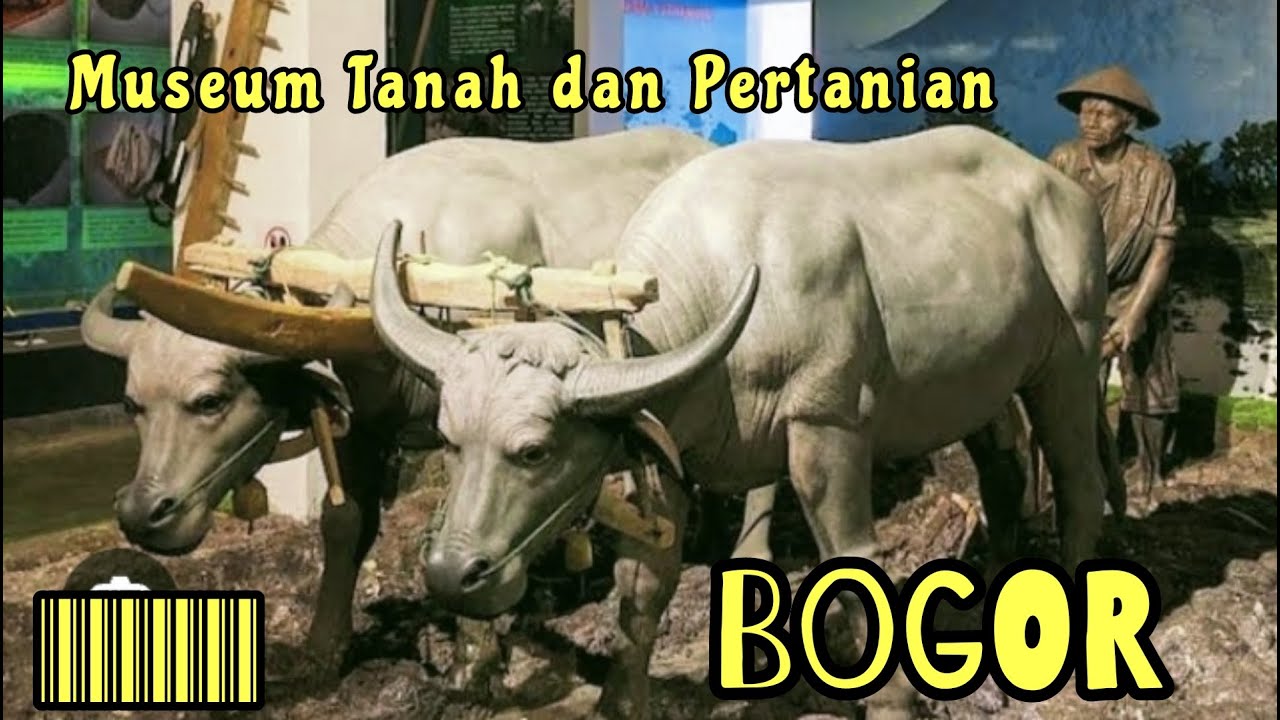 Museum Tanah dan Pertanian Bogor || Wisata Edukasi - YouTube