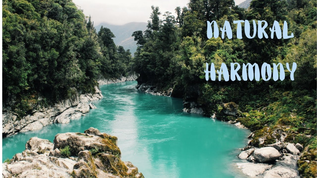 THE BEST Serenity Symphony: Soothing Music and Enchanting Nature for ...