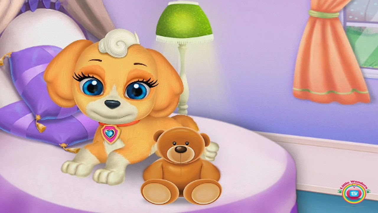 My Cute Little Pet Puppy Care - Learn How to Take Care of a Cute Puppy ...