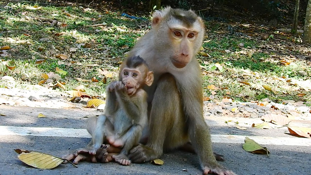 Libby brings Rainbow to walk outside baby seems lazy & only hug mummy ...