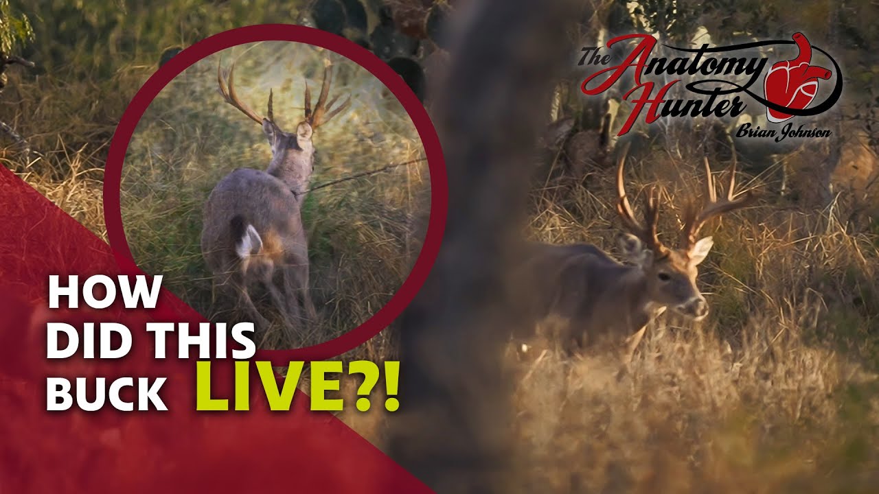 How Did This Buck Live?! | The Anatomy Hunter - YouTube
