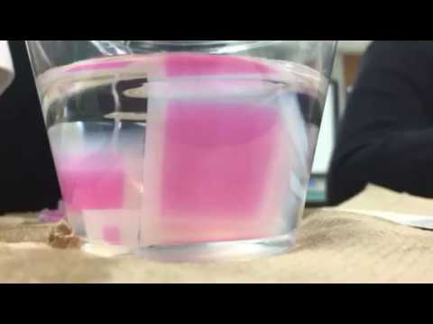 AP BIO CELL SIZE & DIFFUSION LAB - YouTube