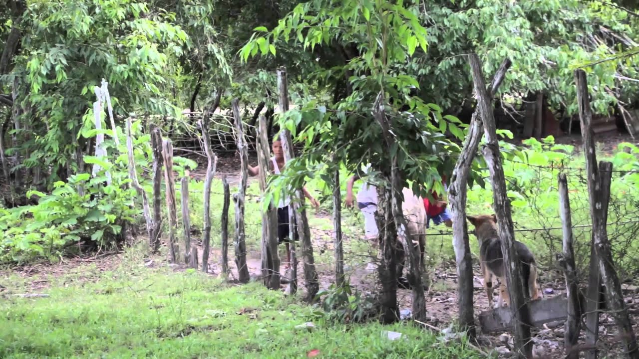 Living in Rural Belize - YouTube