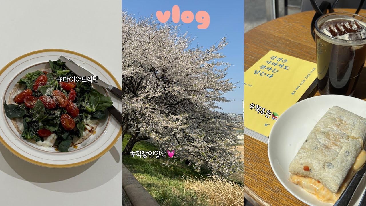 일상 브이로그ㅣ직장인 점심도시락야채비빔밥크래미키토김밥계란김밥ㅣ건강한 집밥 해먹기시금치피자구운야채샐러드 파스타ㅣ챗gpt로 영어공부하고 봄을 온전히 즐기는 일상 💛