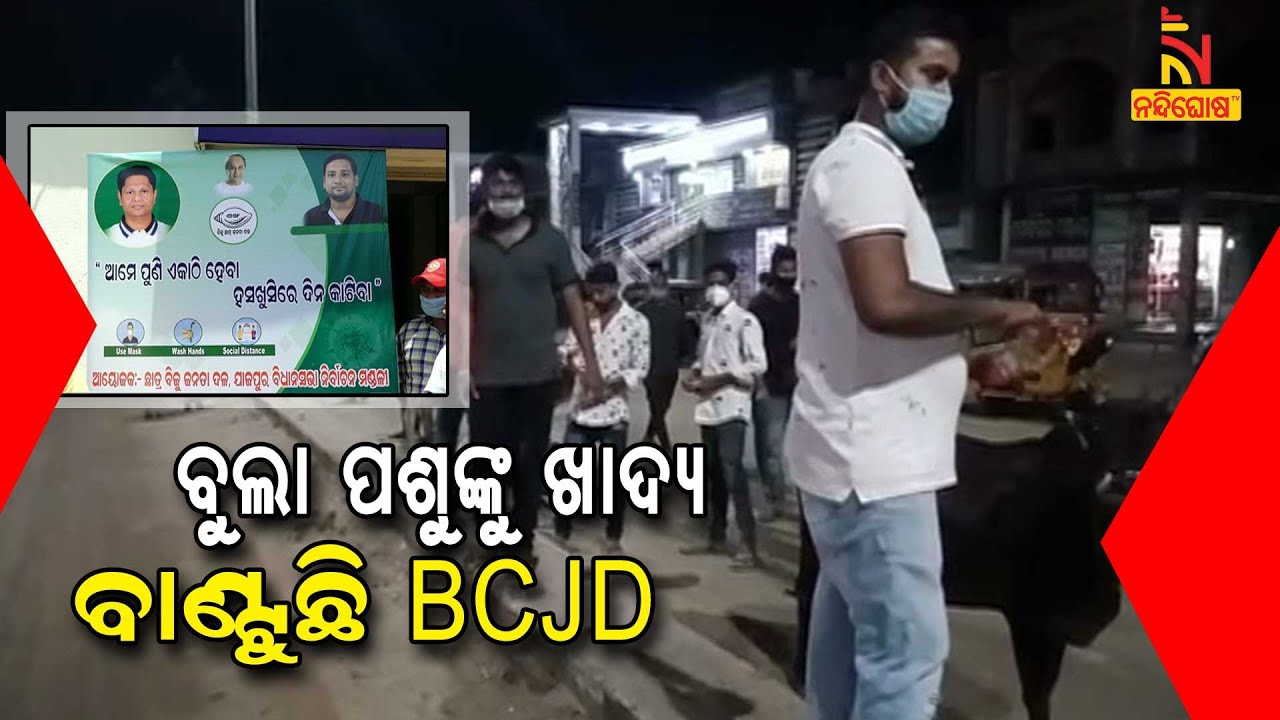 BCJD Leader Distribution Food For Stray Animals | NandighoshaTV - YouTube