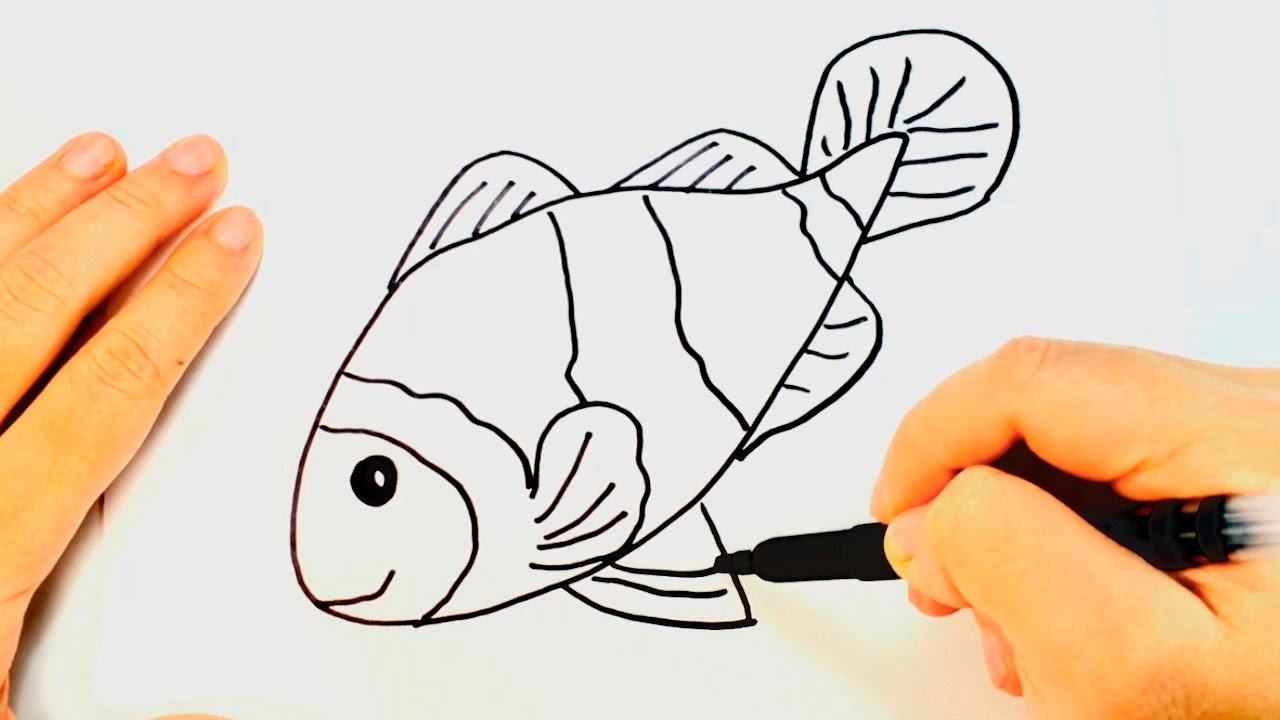How to draw a Fish (Nemo) | Fish Easy Draw Tutorial - YouTube