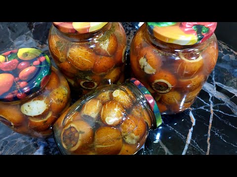 ƏZGİL TURŞUSU
