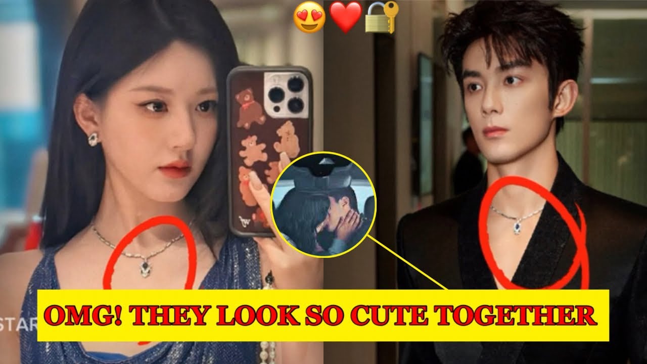Zhao Lusi And Leo Wu Seen Together In The Same Car With Matching Necklaces, Sparking Dating ...