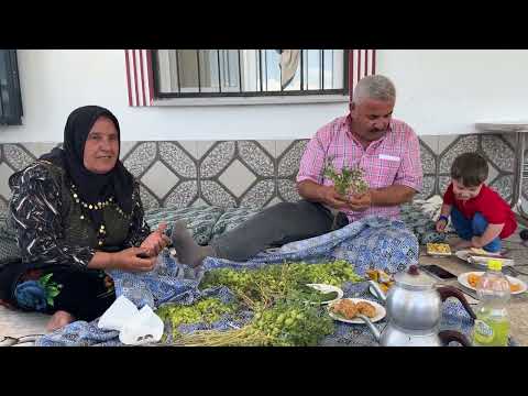 YENİ KANEPELERİM HALIM VE SALINCAK ALDIM🫶BABAMLAR KARGOLARIMI GETİRDİ❌BAZA AYAKLARIM👍BAHÇE YEŞİLLİĞM