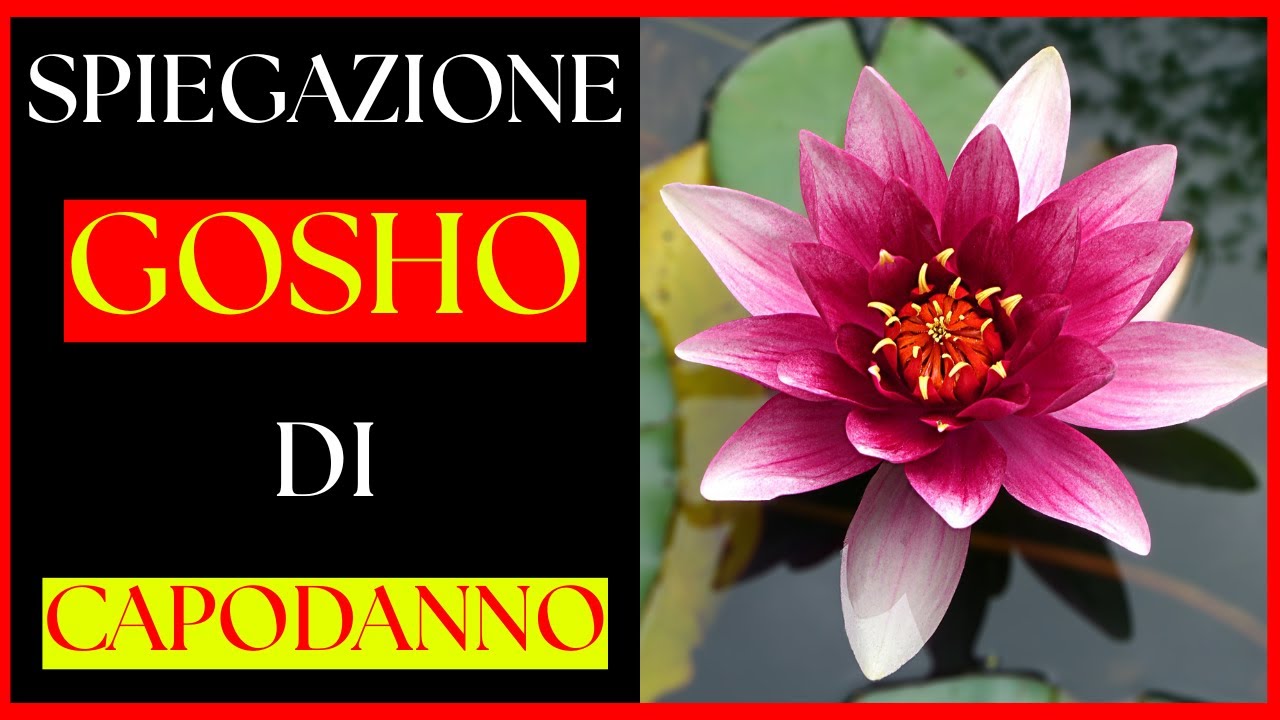 Spiegazione Gosho DI CAPODANNO Lezioni di Daisaku Ikeda - YouTube
