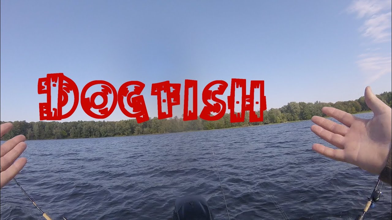 Bowfin or Dogfish Fishing Techniques - YouTube