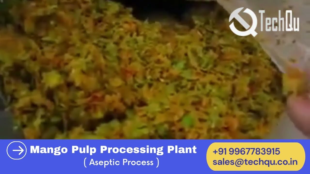 Mango Pulp Processing Plant | Mango Processing Plant | How Made Mango ...