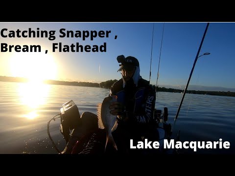 catching snapper | bream | flathead | Lake Macquarie fishing - YouTube