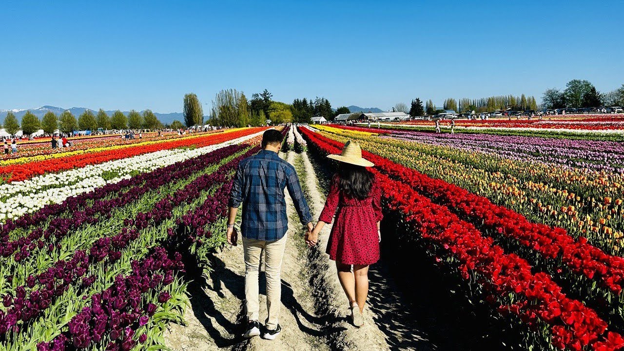 Karthick and Varshinee's Wedding Livestream | 09-06-2023 7.30 am ...