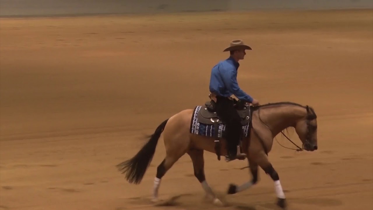 200220 Novice Cass Fox on Mighty Mr Wise Guy - YouTube