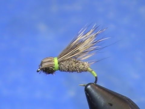 Fly Tying: Bullethead Caddisfly - YouTube