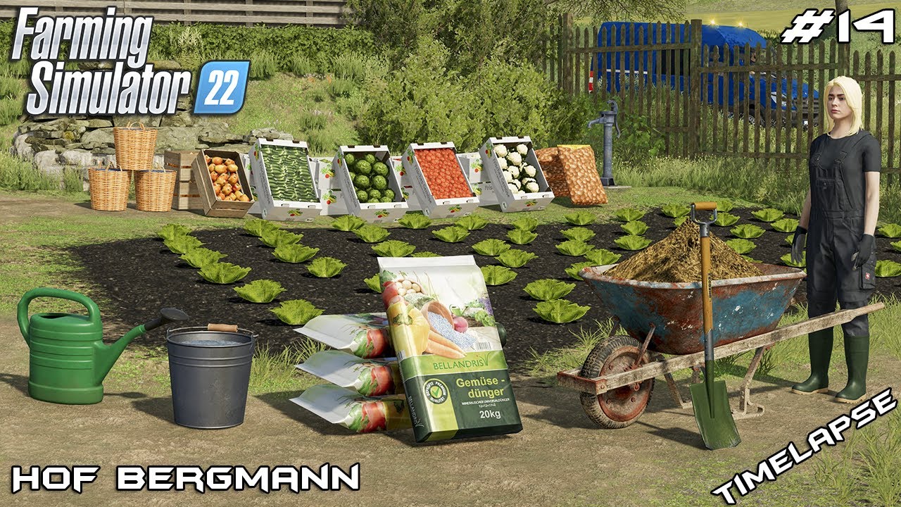 Buying ALLOTMENT GARDEN and planting VEGETABLES | Hof Bergmann ...