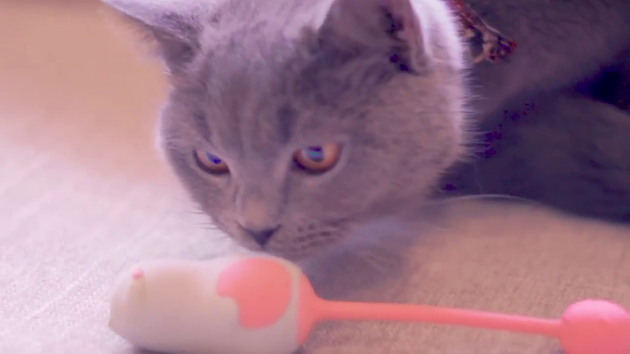 Monster Pub 2 小怪獸2代手機遙控智能按摩器 | 喜穴 Pleasure Point - YouTube