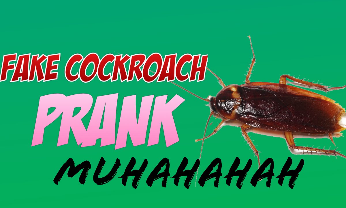 Cockroach Prank at School - YouTube