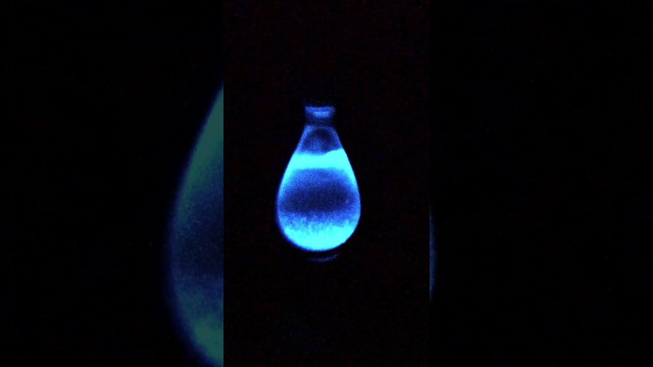 My Sea Monkeys Bioluminescence - [Update] "Glow In The Dark" Sea ...
