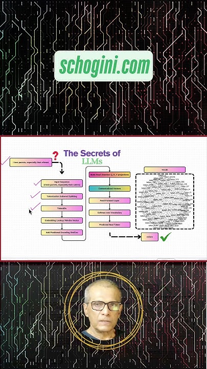 Easy LLM Part-1: Interactive Transformer Embeddings & Positional Encoding! - YouTube