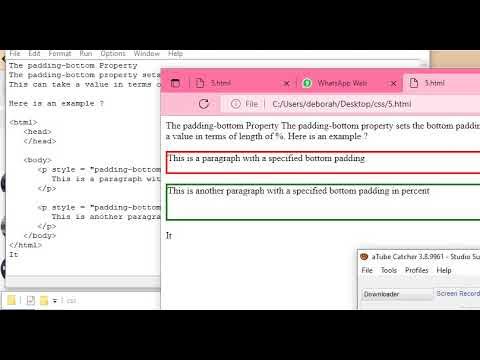 CSS The padding bottom Property - YouTube