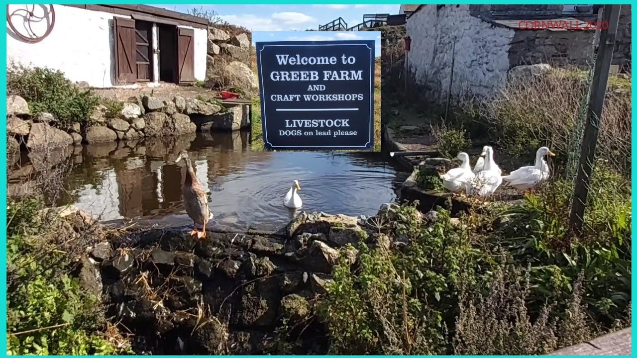 Greeb Farm Lands End And The View | Cornwall Holiday2020 Part2 - YouTube