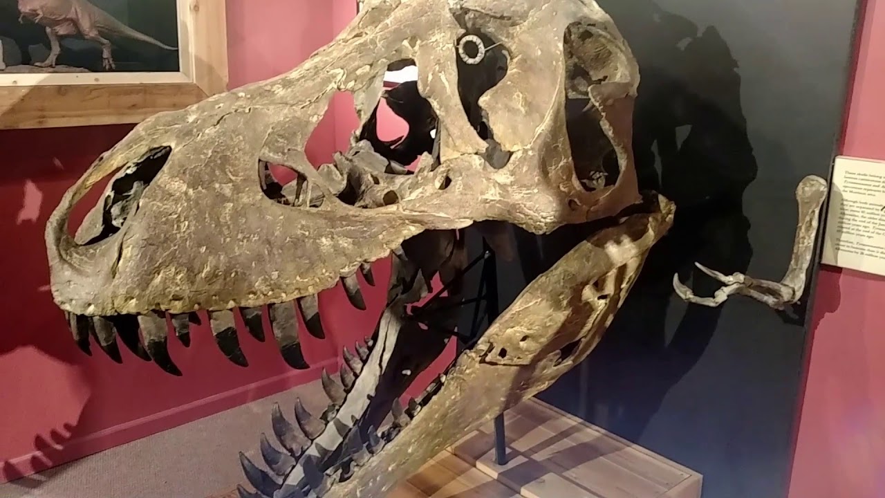 Forrest Fenn Treasure Hunt, Home Of (Molly) Brown, Part 6 - YouTube