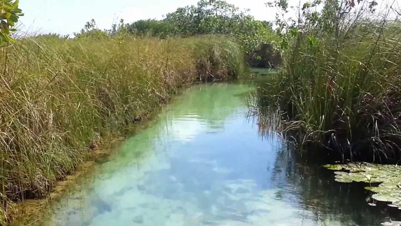 Mayan Canal Tour Located in the Sian Ka'an, Tulum / Muyil, Mexico - YouTube